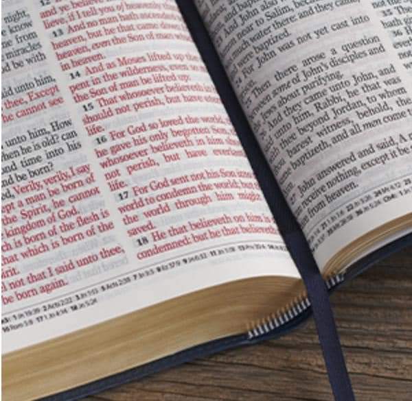 SOMEONE ASKED ME WHEN I WILL BE WRITING THE BIBLE? I REPLIED THAT I WAS ...